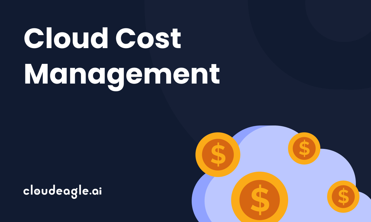 What is Cloud Cost Management: The Secret To Optimizing Cloud Costs | CloudEagle